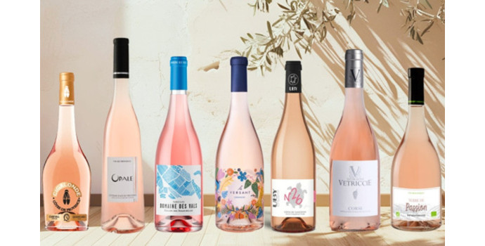 Meilleurs Vins Rosés 2025 : Fraîcheur, Équilibre et Plaisir Estival ...